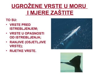 Ugrozene vrste i mjere zastite | PPT