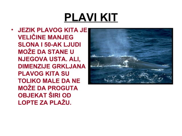 Ugrozene vrste i mjere zastite | PPT | Music | Entertainment