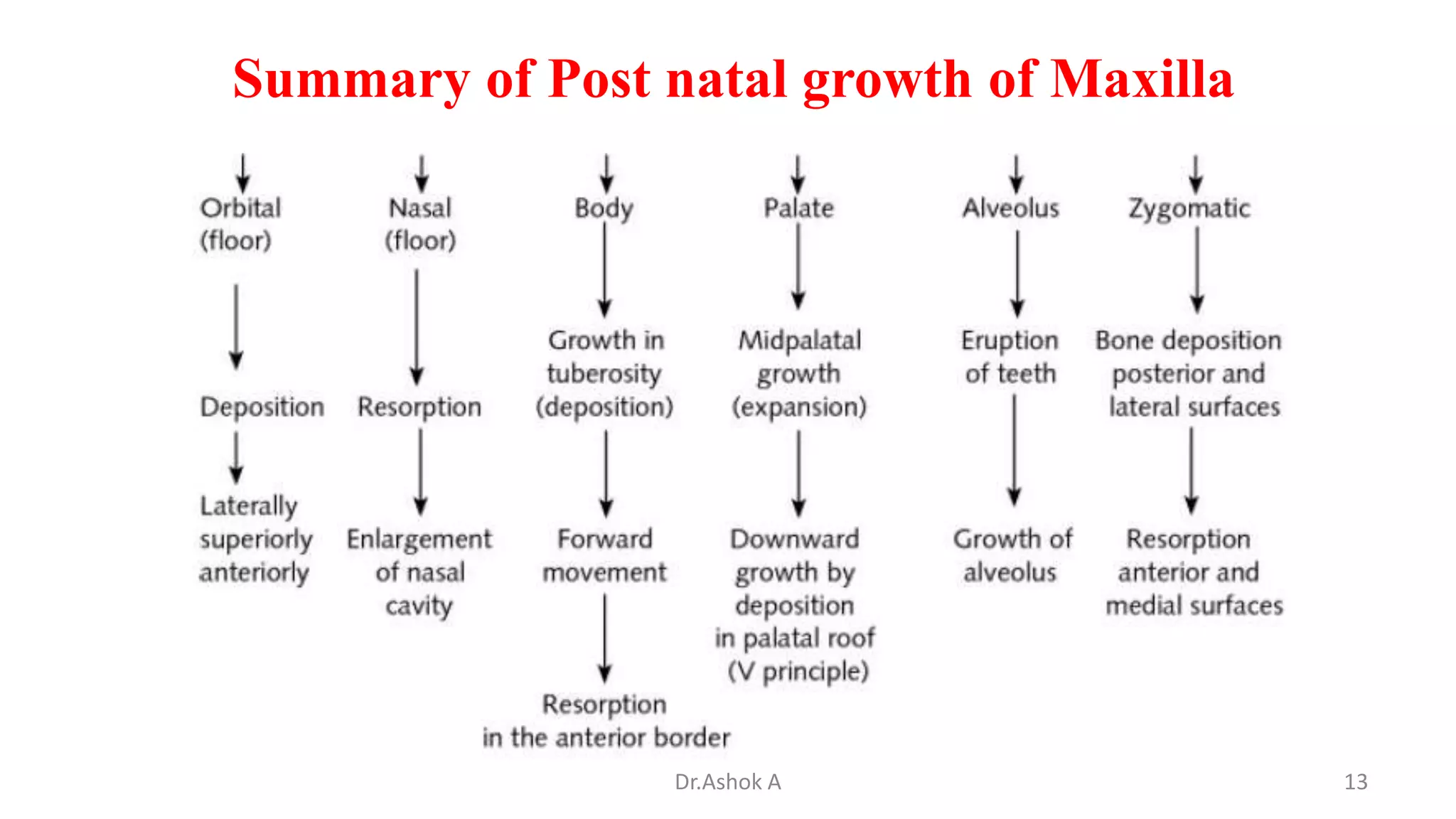 Postnatal growth of maxilla & mandible | PPTX