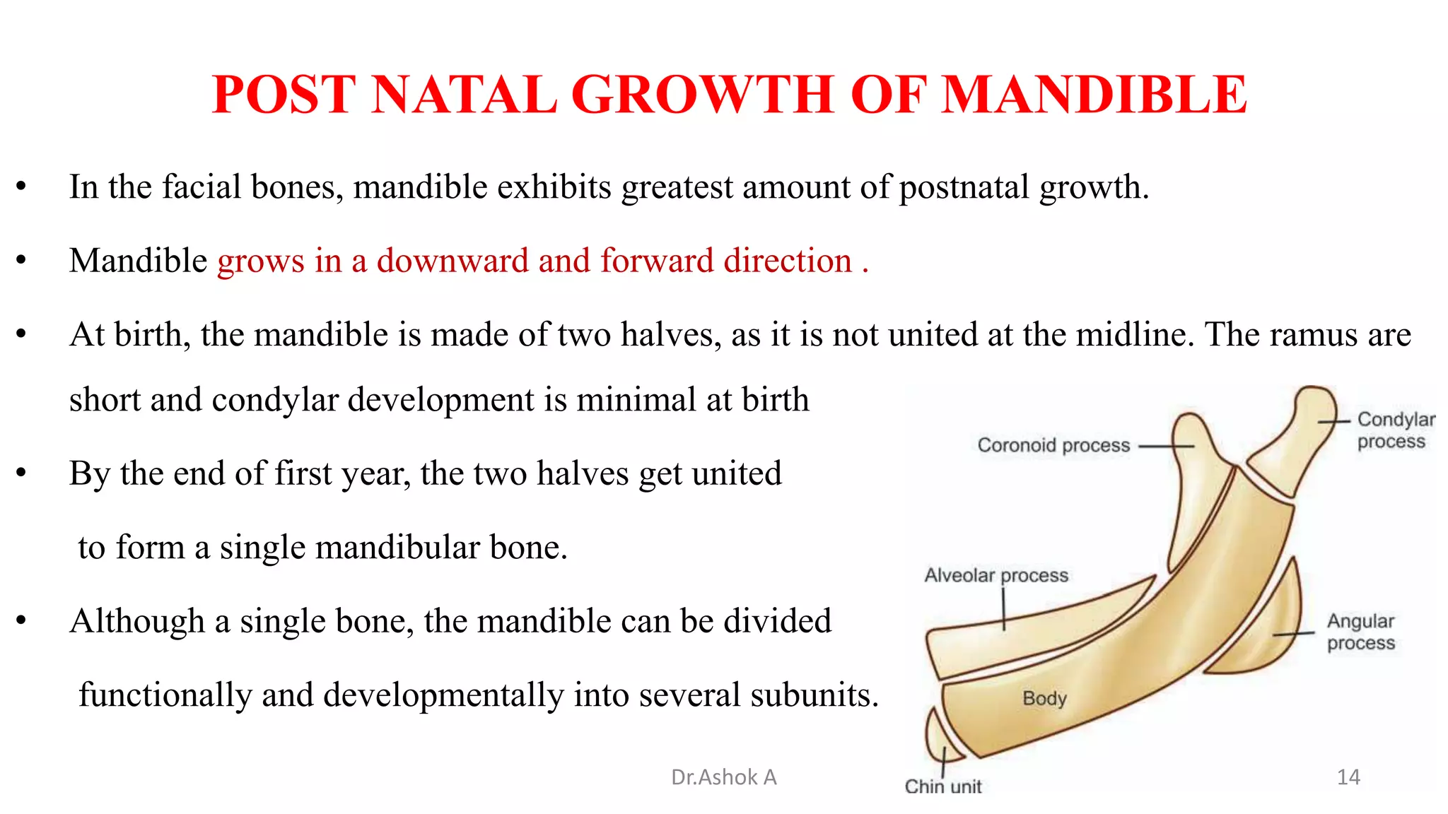 Postnatal growth of maxilla & mandible | PPTX
