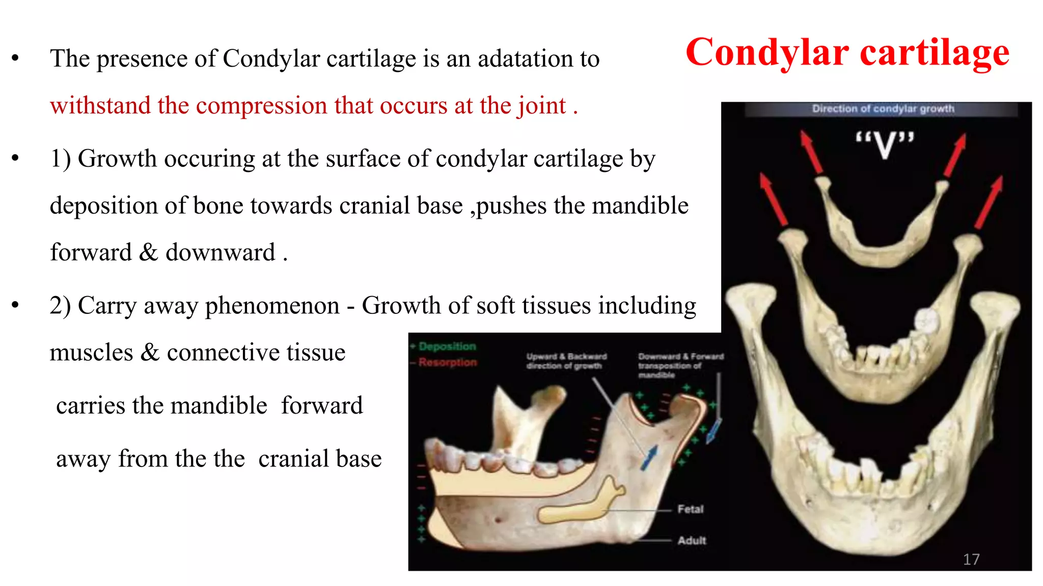 Postnatal growth of maxilla & mandible | PPTX