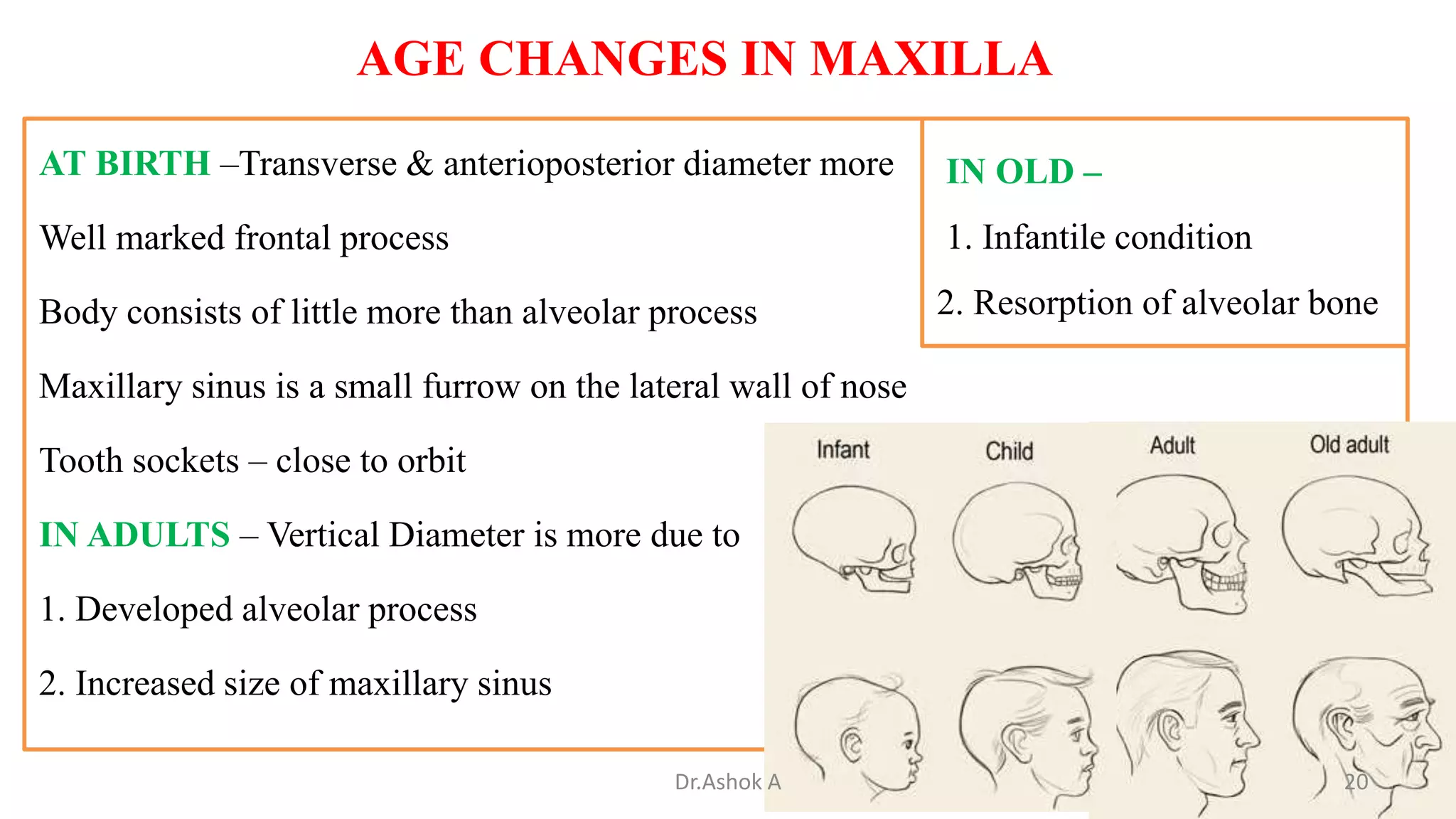 Postnatal growth of maxilla & mandible | PPTX