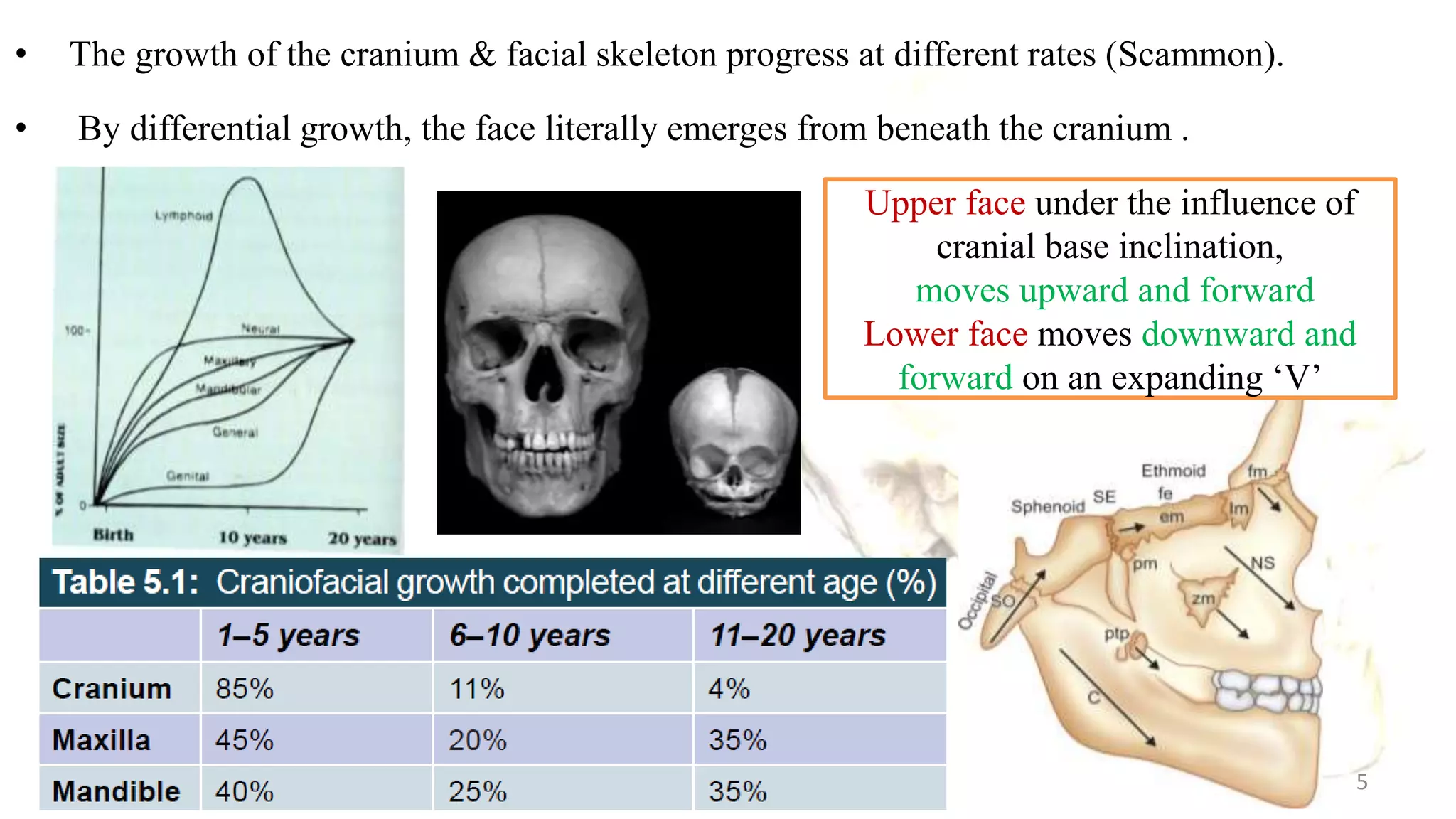Postnatal growth of maxilla & mandible | PPTX