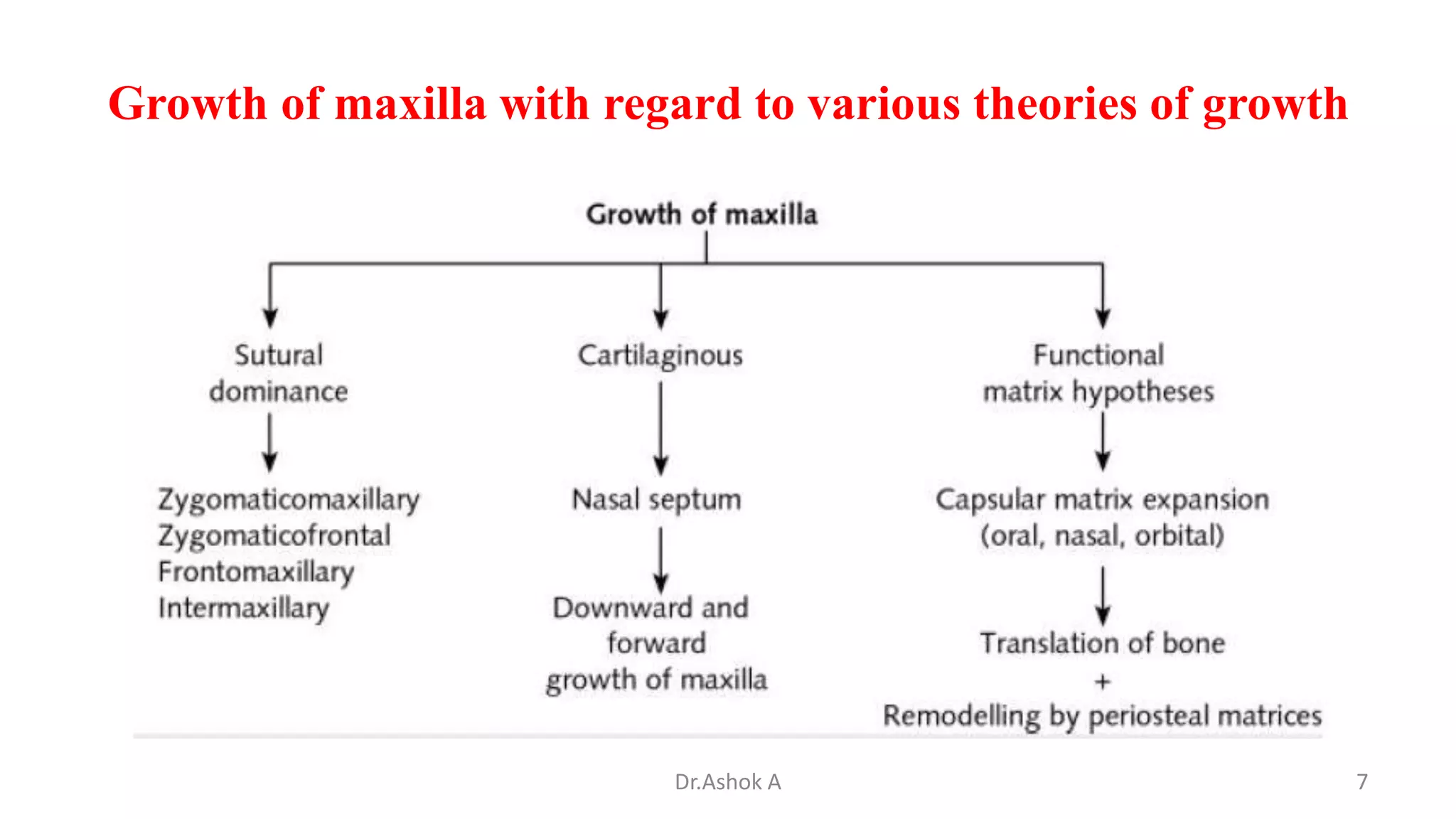 Postnatal growth of maxilla & mandible | PPTX
