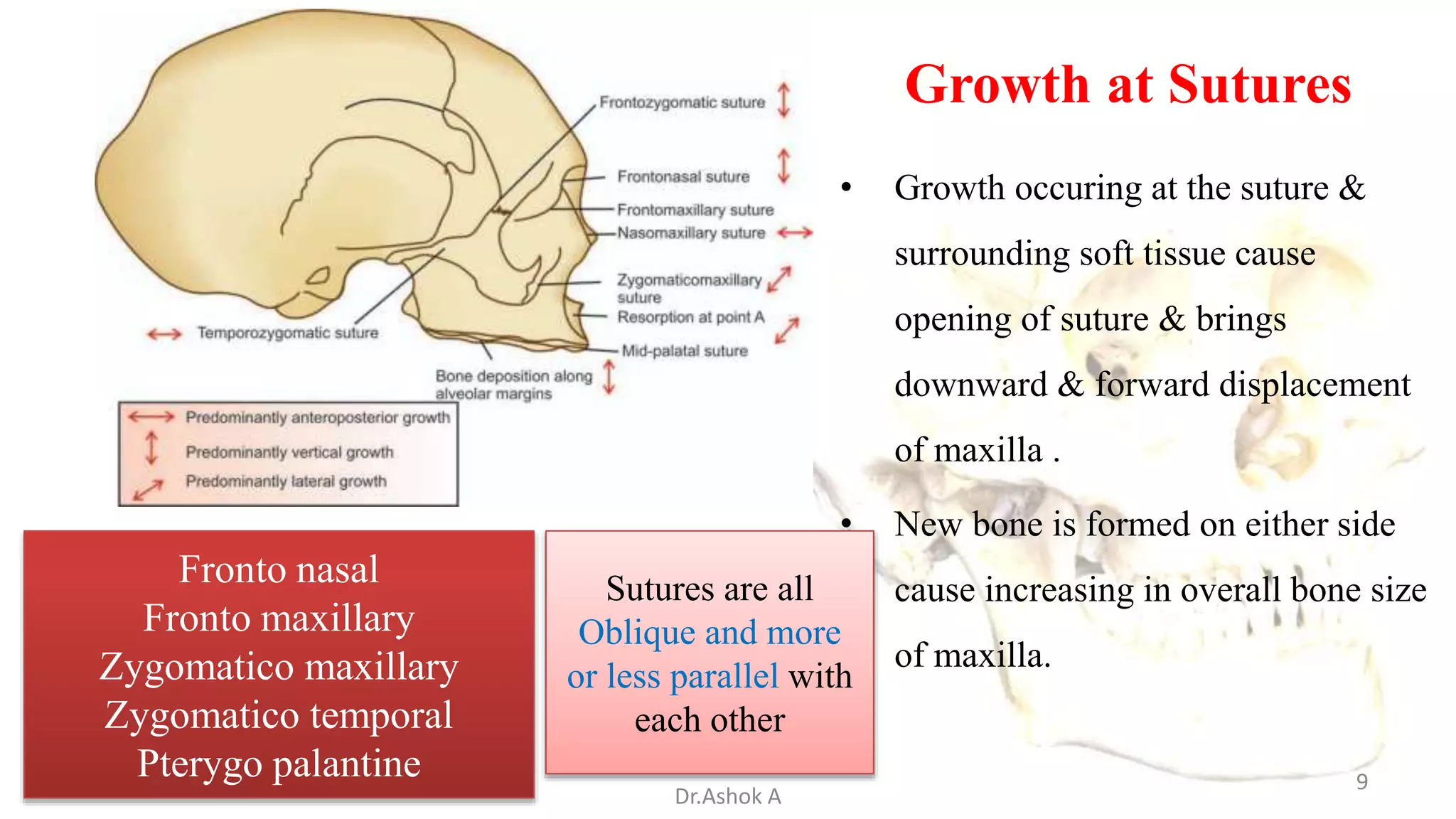 Postnatal growth of maxilla & mandible | PPTX