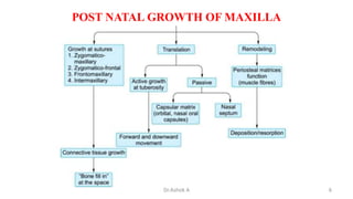 Postnatal growth of maxilla & mandible | PPTX