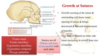 Postnatal growth of maxilla & mandible | PPTX