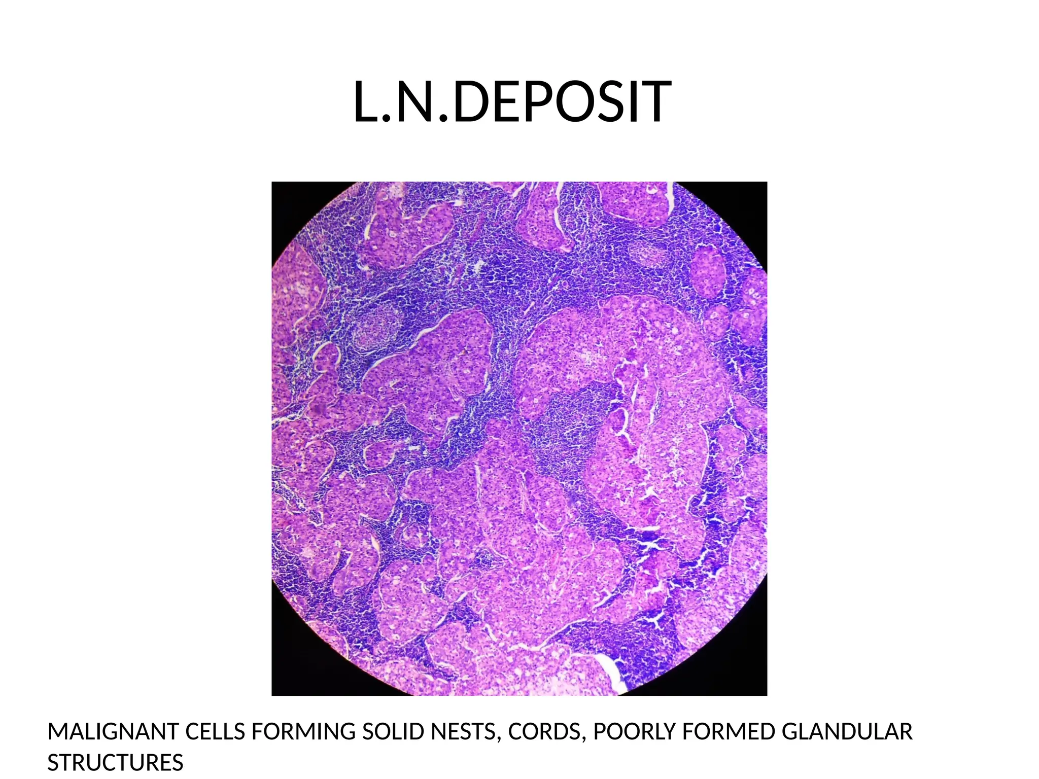 UG histopathology SLIDES presentation.pptx