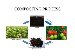 presentation about composting hyacinth leaves.ppt