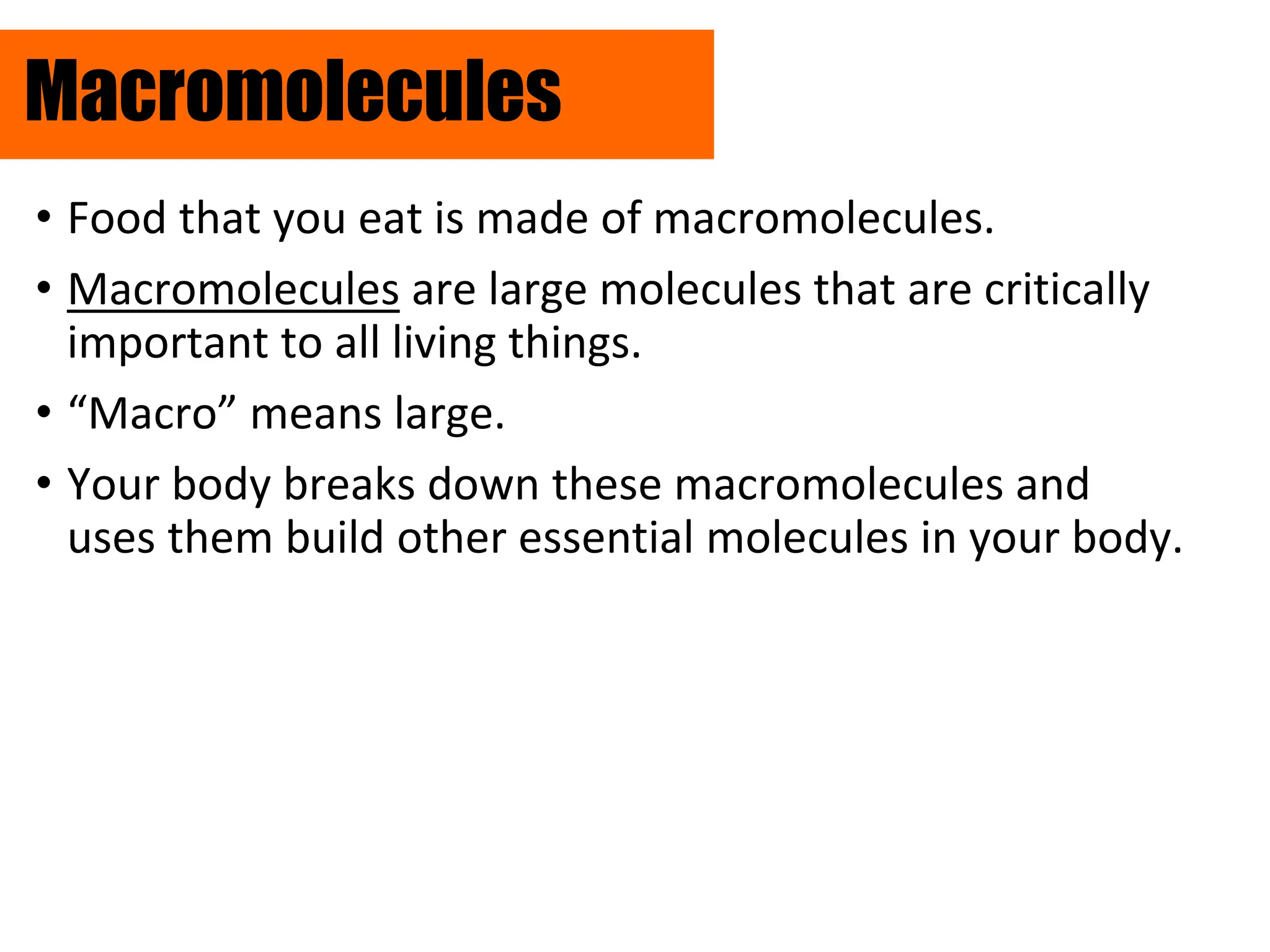 Macromolecules_Lesson.pptx