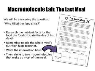 Macromolecules_Lesson.pptx