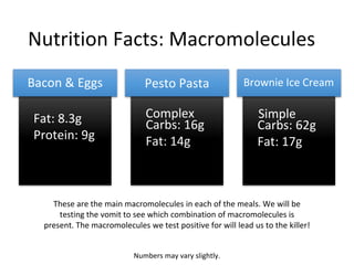 Macromolecules_Lesson.pptx