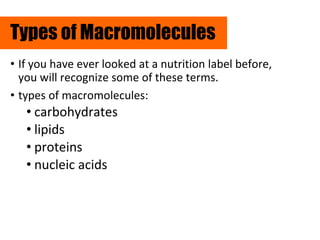 Macromolecules_Lesson.pptx