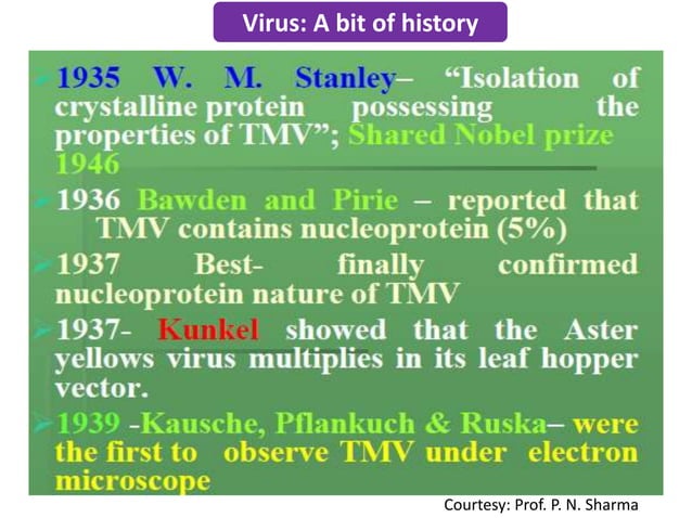 UG Virus.pptx
