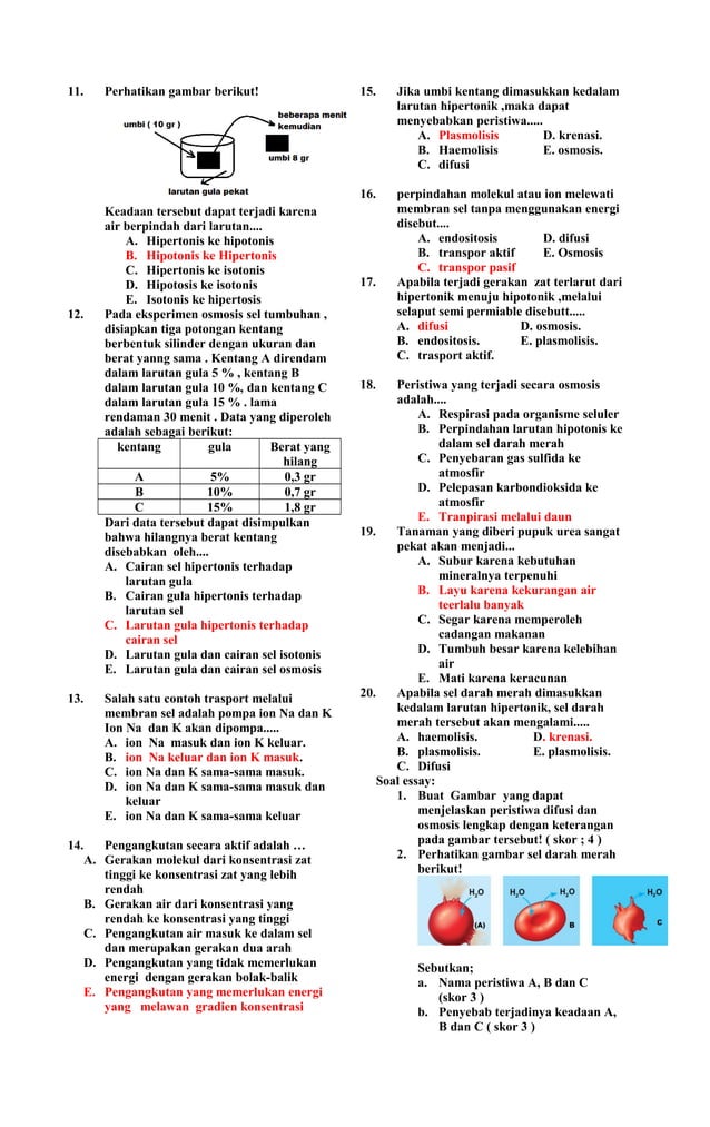 LATIHAN SOAL MEKANISME TRANSPOR PADA MEMBRAN | DOC