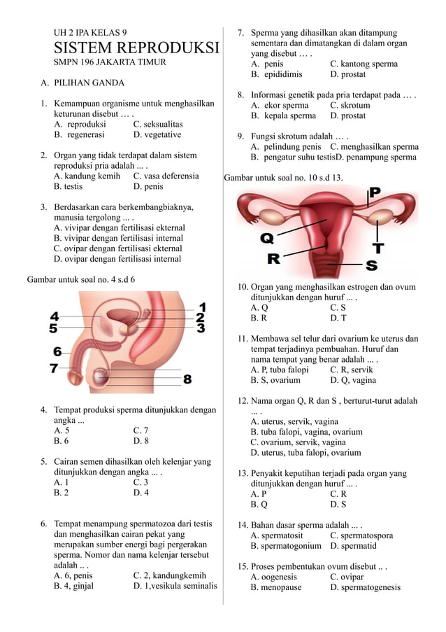 Uh2 ipa92017 sistem reproduksi | DOC