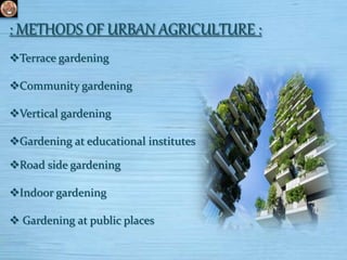 Urban horticulture and eco-tourism (botany) | PPTX