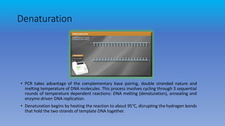 Molecular_Diagnostics_using_PCR_-_612_Meet_Hindocha.pdf