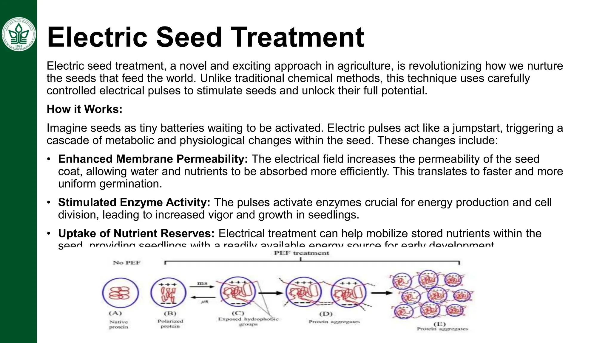 UHF Slide on electric and electromagnatic seed | PPTX