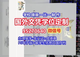 University of Minnesota System degree offer diploma Transcript | PDF