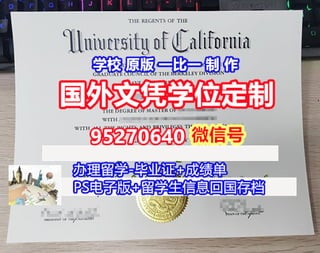 USQ degree offer diploma Transcript | PPT