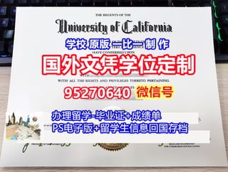 UniSA degree offer diploma Transcript | PPT