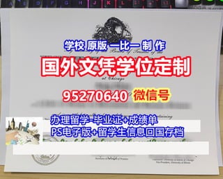 MSU degree offer diploma Transcript | PPT