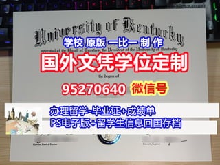 USF degree offer diploma Transcript | PPT