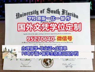 UIUC degree offer diploma Transcript | PPT