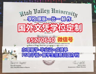 MSU degree offer diploma Transcript | PPT