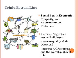 Urban Heat Island Effect | PPT