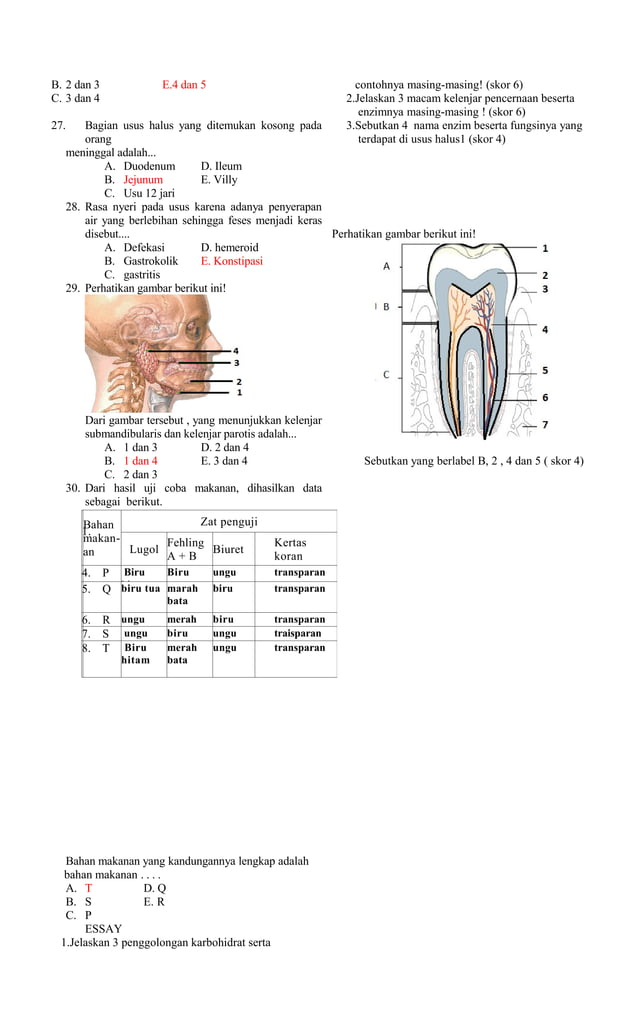 CONTOH SOAL PENCERNAAN DAN JAWABAN | DOC