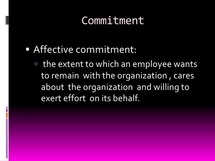 Uhs 2062 Employees Attitudes, Satisfaction And Commitment (2010)