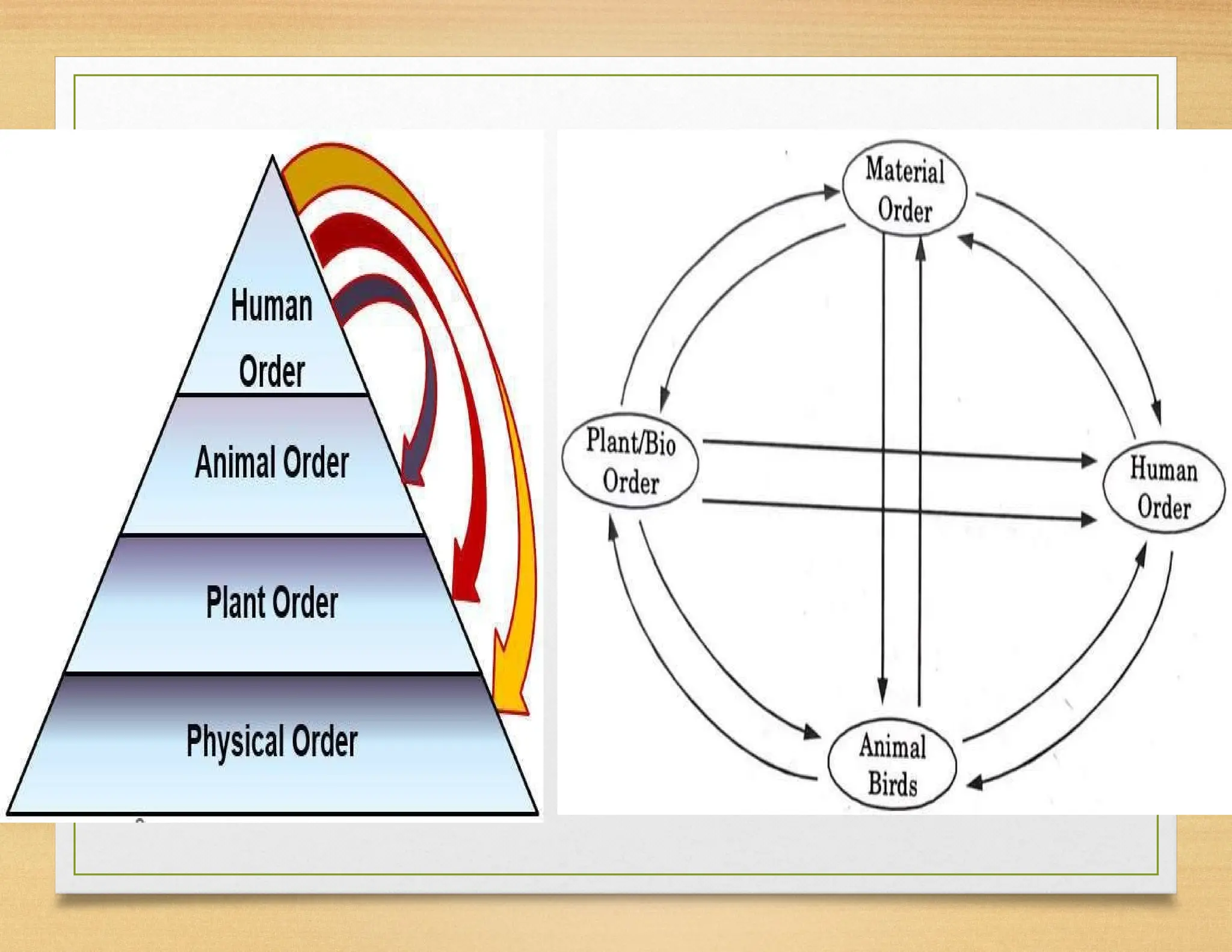 UHV-2 human values unit 4 Harmony in the nature and existence.pptx