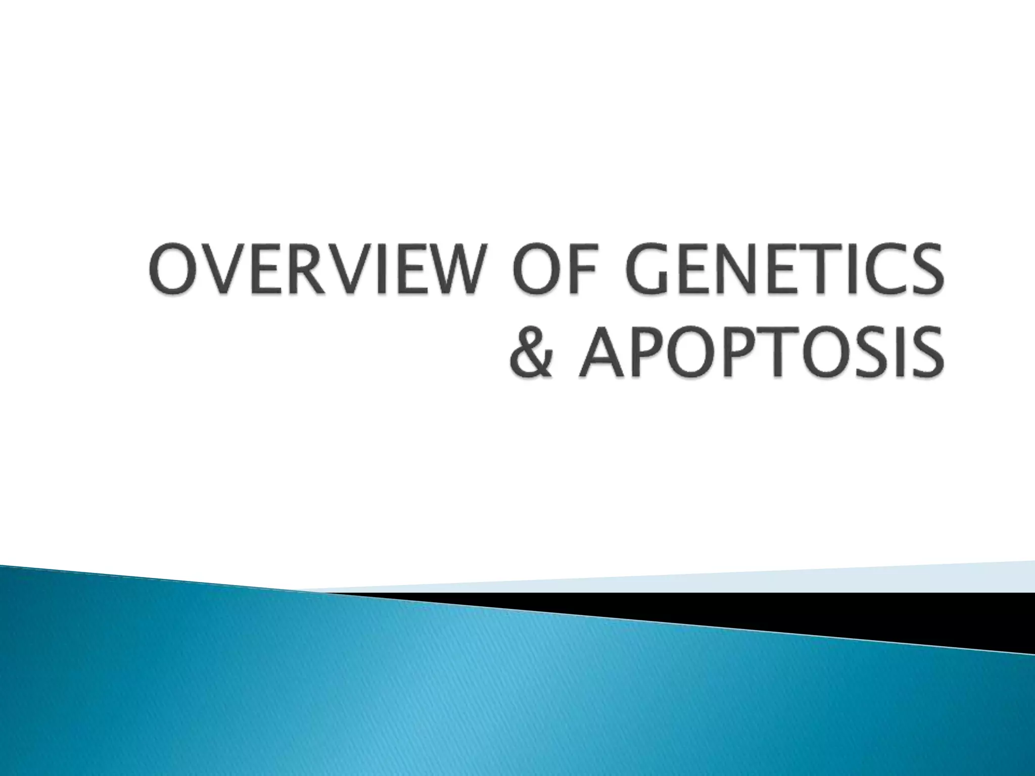 Overview of genetics & apoptosis | PPTX