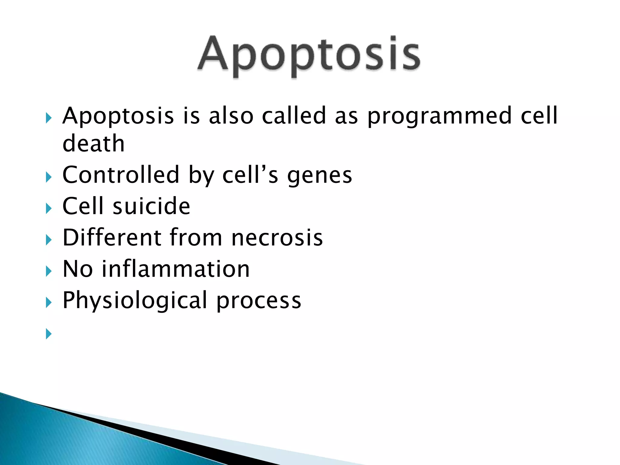 Overview of genetics & apoptosis | PPTX