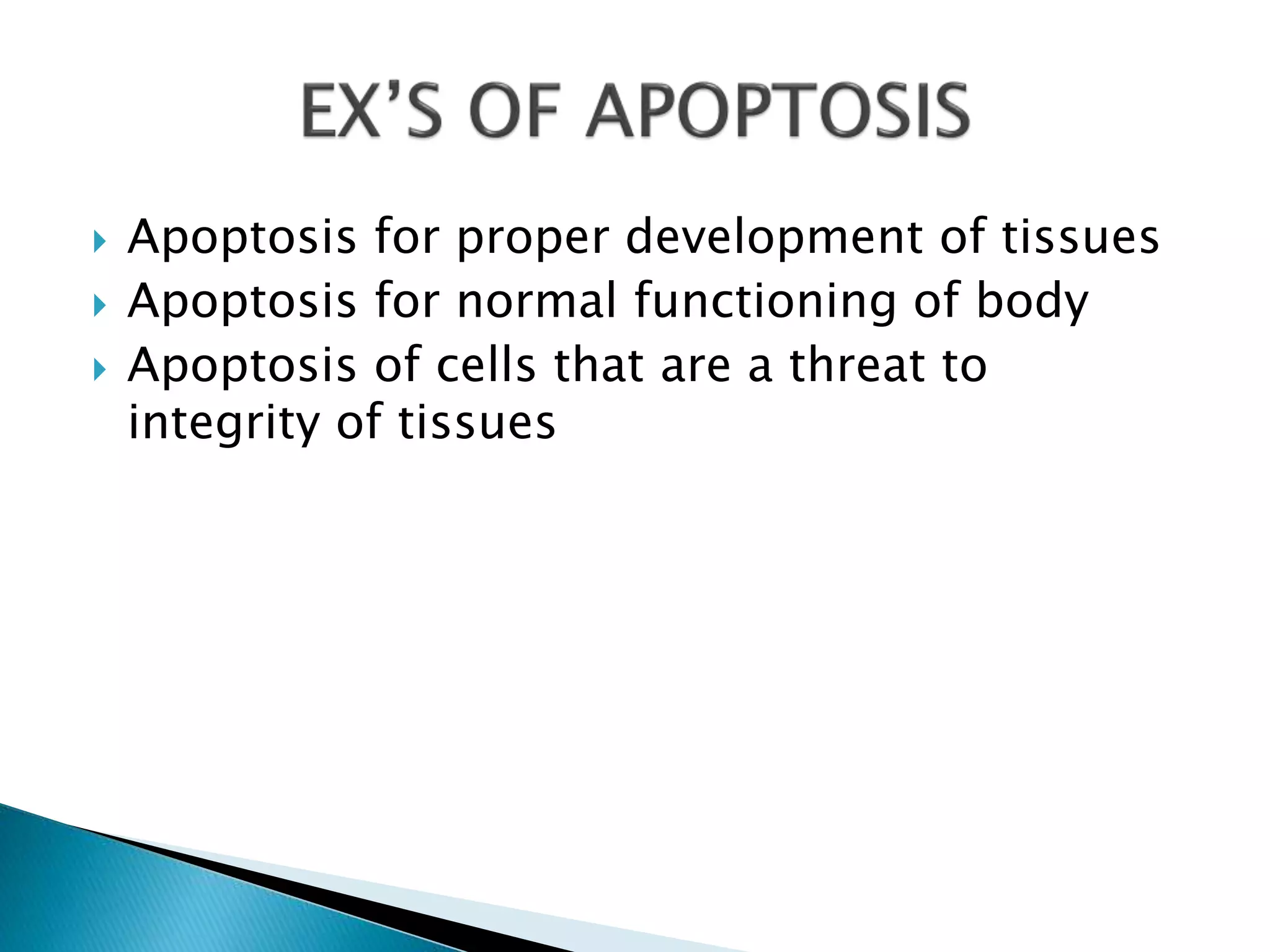Overview of genetics & apoptosis | PPTX