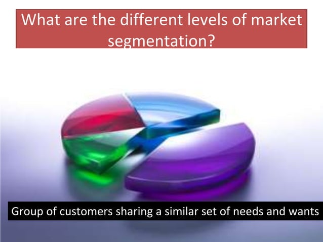 What are the different levels of market segmentation? | PPT