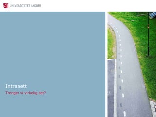 UiA Intranett | PPT