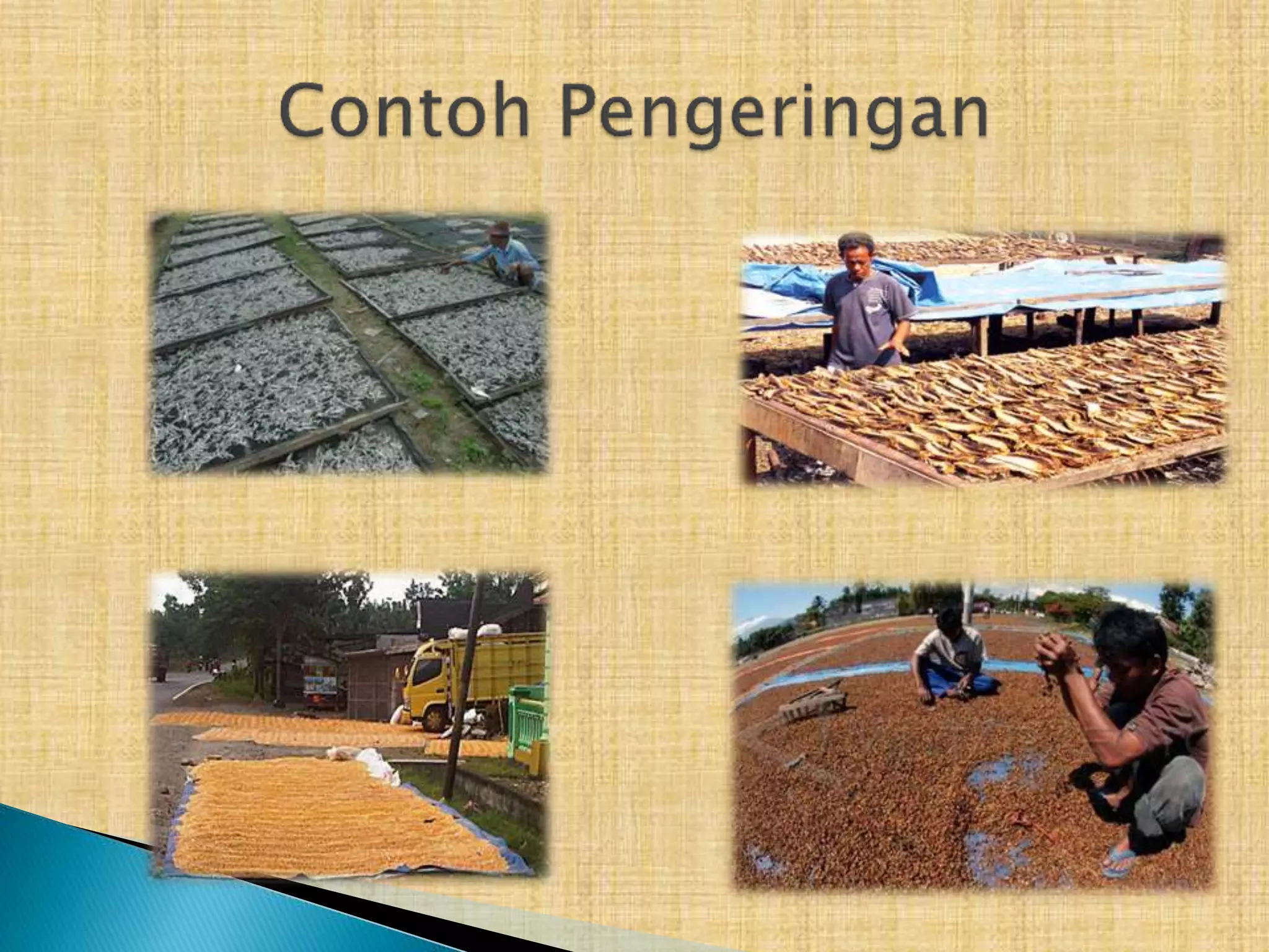 Prakarya-Pengawetan dengan pengeringan | PPTX