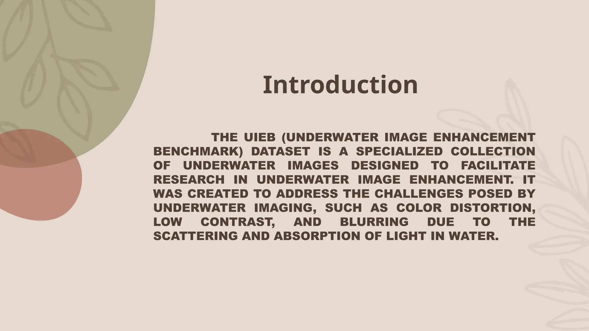 Uieb Dataset Feature Extractor And Classifierpptx Free Download