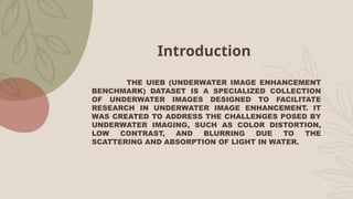 UIEB dataset - feature extractor and classifier.pptx