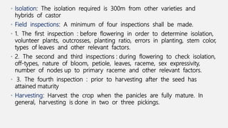 Foundation and certified seed production of castor | PPT | Free Download