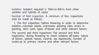 Foundation and certified seed production of castor | PPT | Free Download