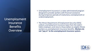 UI Rapid Response Presentation_English audio 04.07.2023.pptx