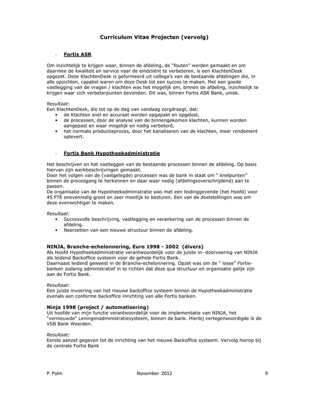Uitgebreid Cv P Palm | PDF