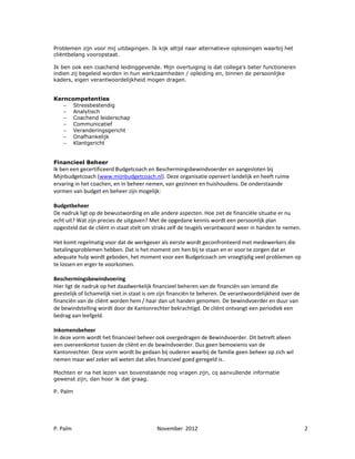 Uitgebreid Cv P Palm | PDF