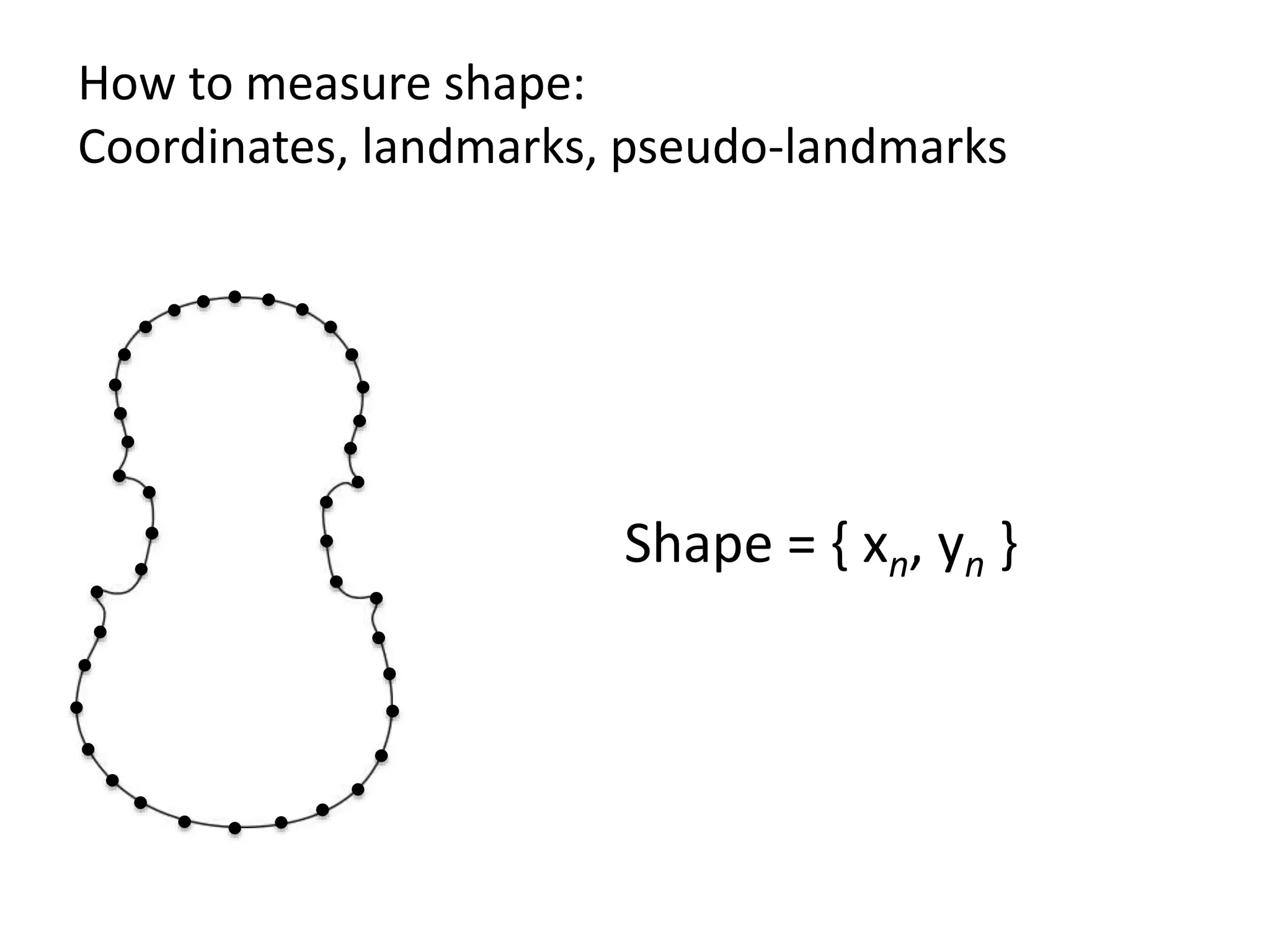 A spectrum of shapes: Distinct genetic, developmental, and ...