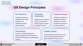 User Interface (UI) and User Experience (UX) Design Principles in Software Development | PPTX