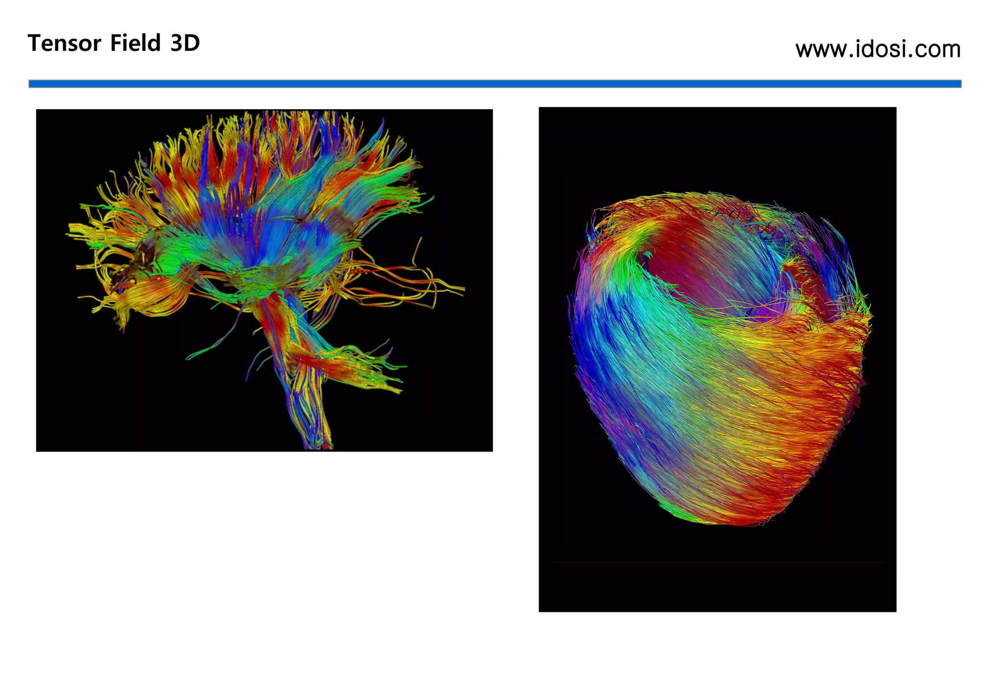 Tensor Physics for Deep Learning | PPT